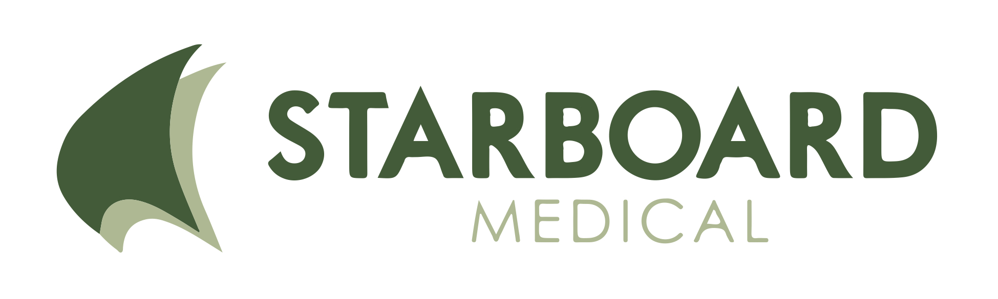 Starboard Cruise Services Logo